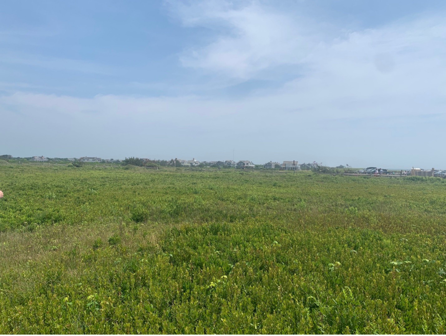 Cisco Parking Lot Relocation - Nantucket Land Bank