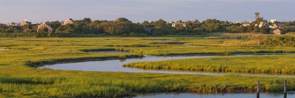 Preserving and Protecting Nantucket's Public Open Spaces - Nantucket ...