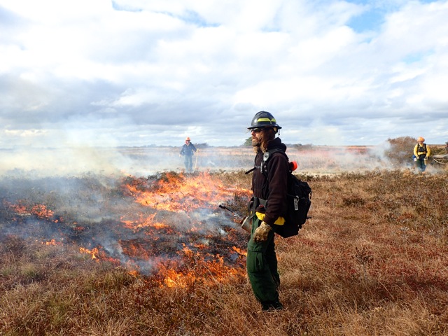 Prescribed Fire - Nantucket Land Bank