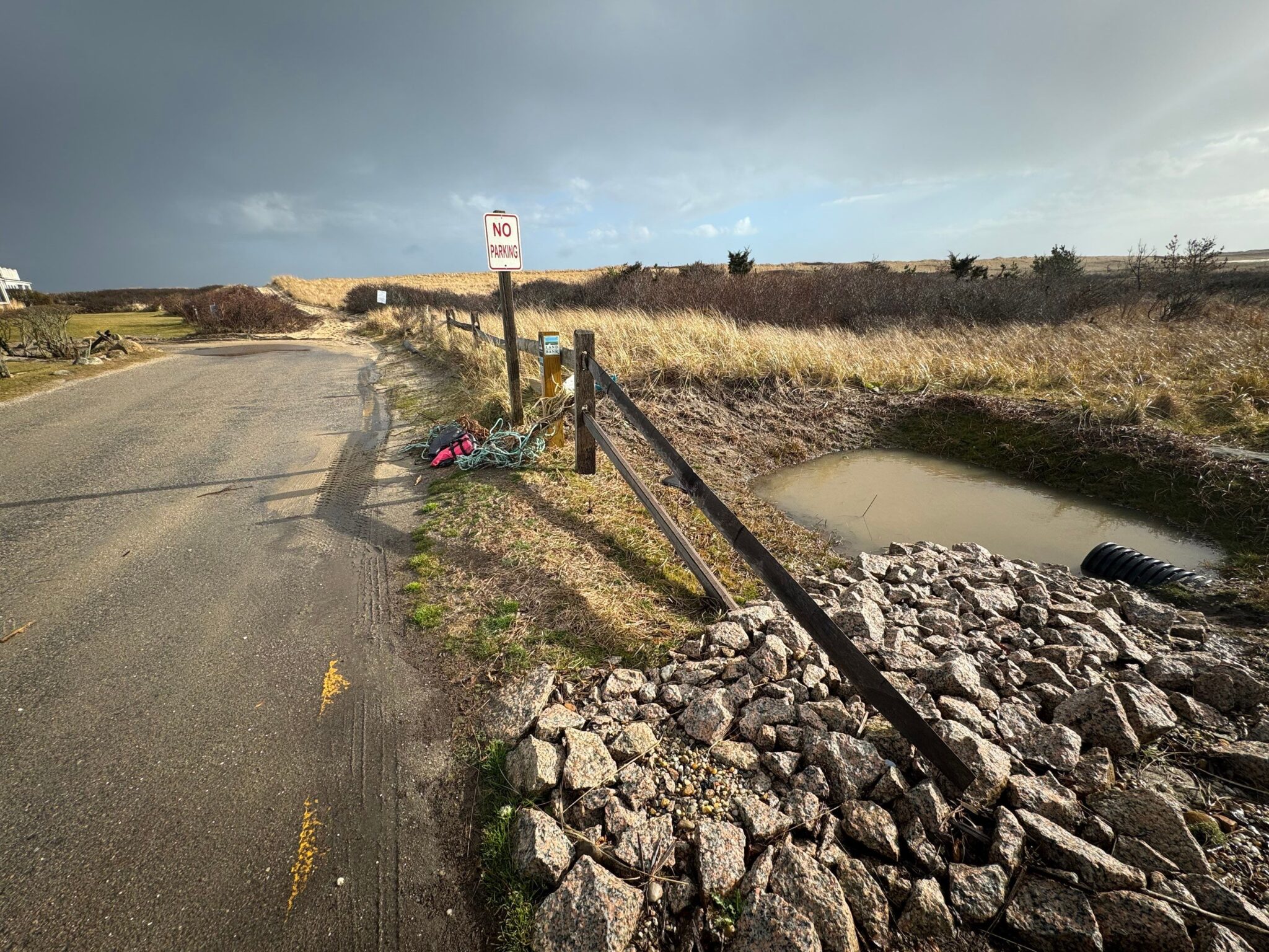 Channeling Water: Nature-Based Solutions to Combat Stormwater Flooding ...