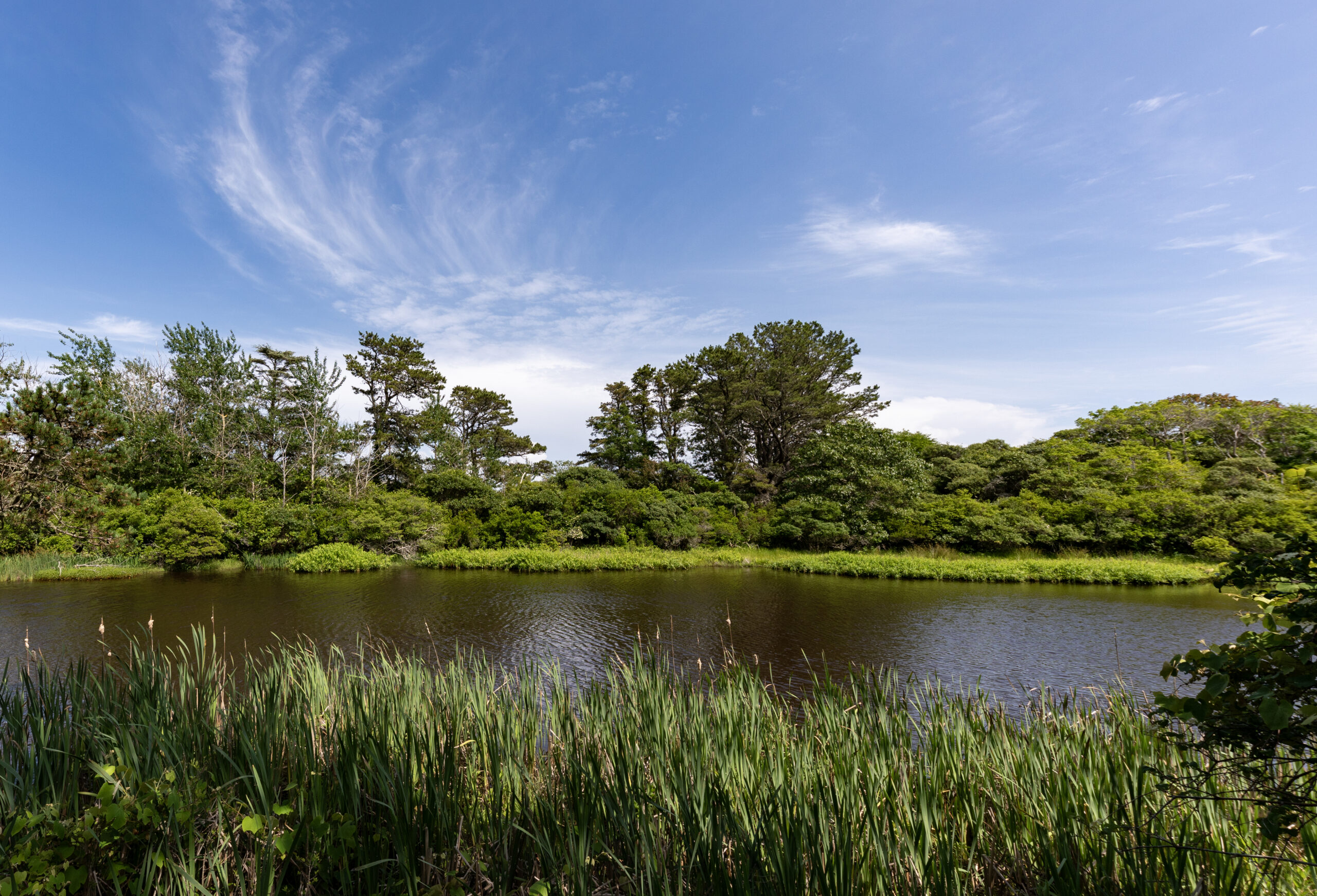 Reyes Pond - Nantucket Land Bank
